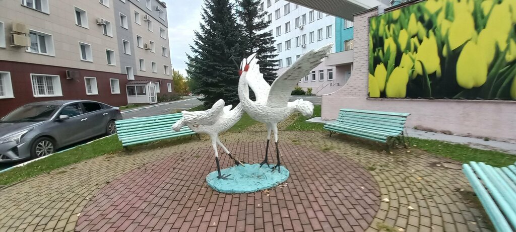 Park, sokak heykeli Танцующие аисты, Çeliabinsk, foto