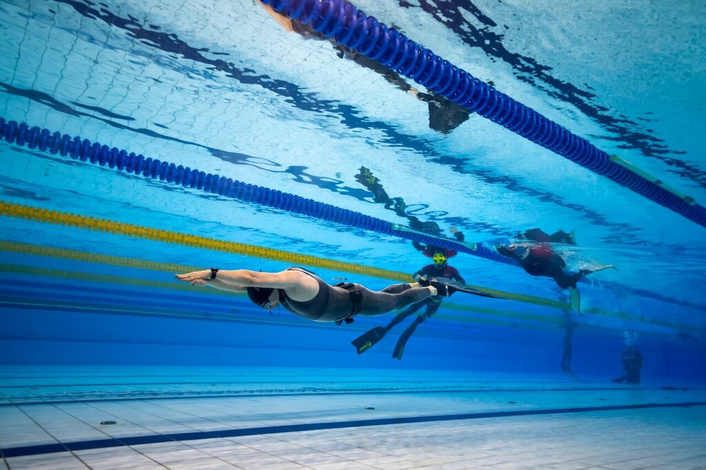 Dalış kulüpleri ve eğitim merkezleri Monofin, Moskova, foto