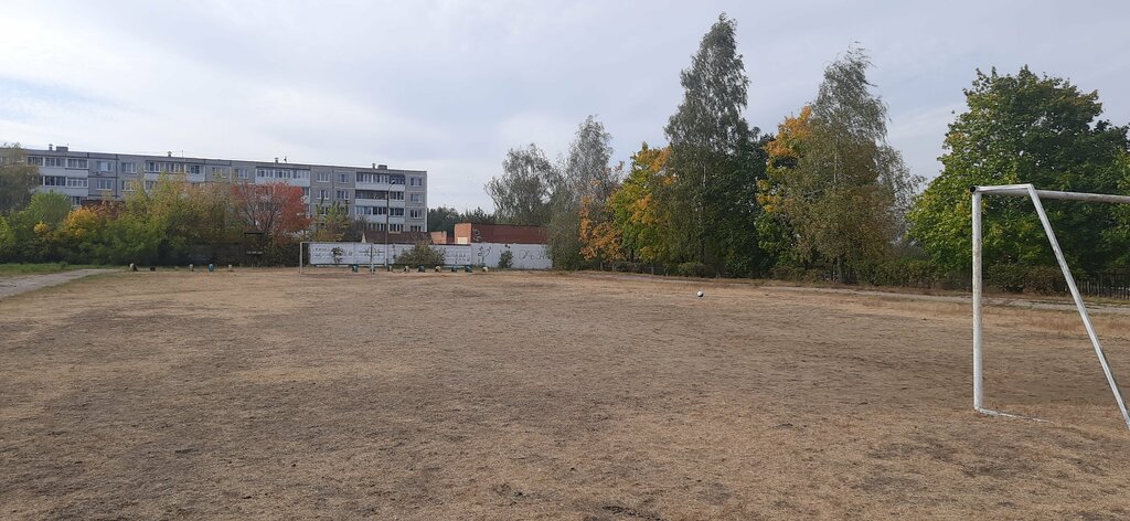 Spor alanı Футбольное поле, Moskova ve Moskovskaya oblastı, foto