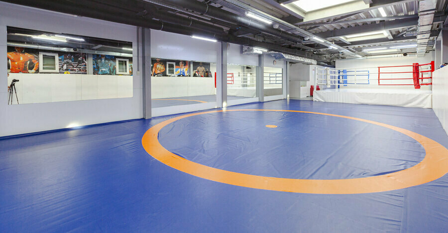 Spor kulüpleri Poedinok, Moskova, foto