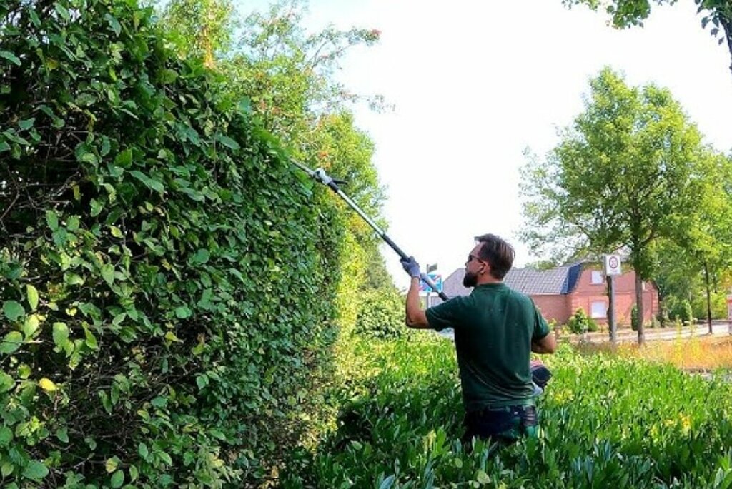 Peyzaj tasarımı Экоуход.рф, Elektrostal, foto