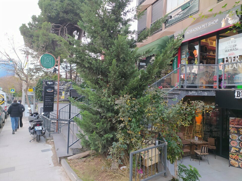 Petshop Acıbadem Pet Shop, İstanbul, foto