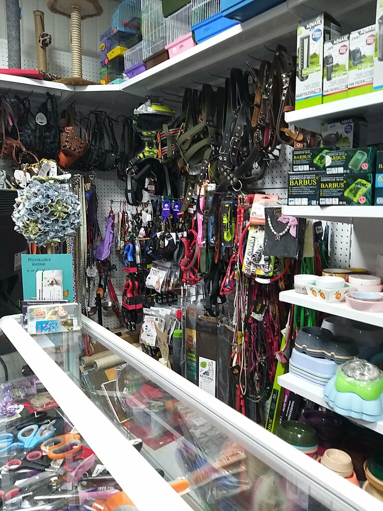 Petshop Зоомир, Bügülme, foto