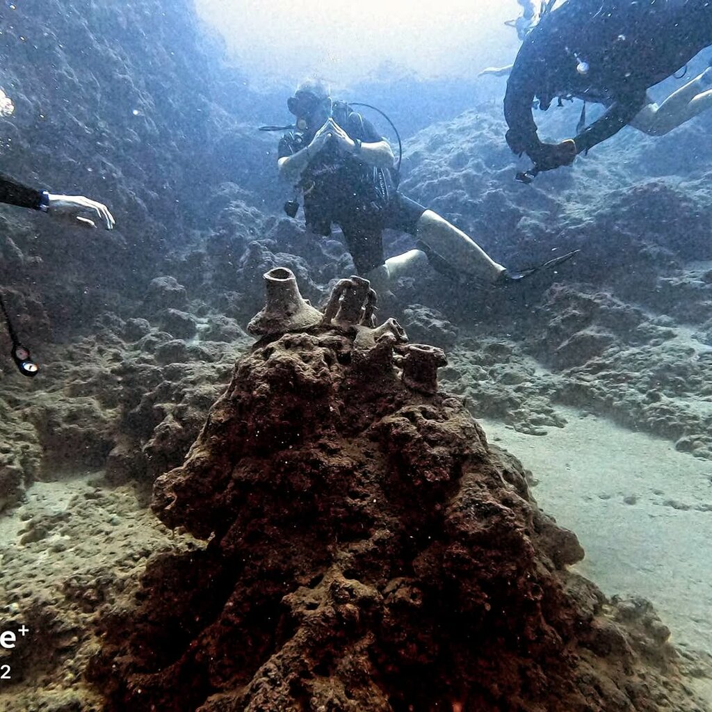 Dalış kulüpleri ve eğitim merkezleri diving kemer Diving, Kemer, foto