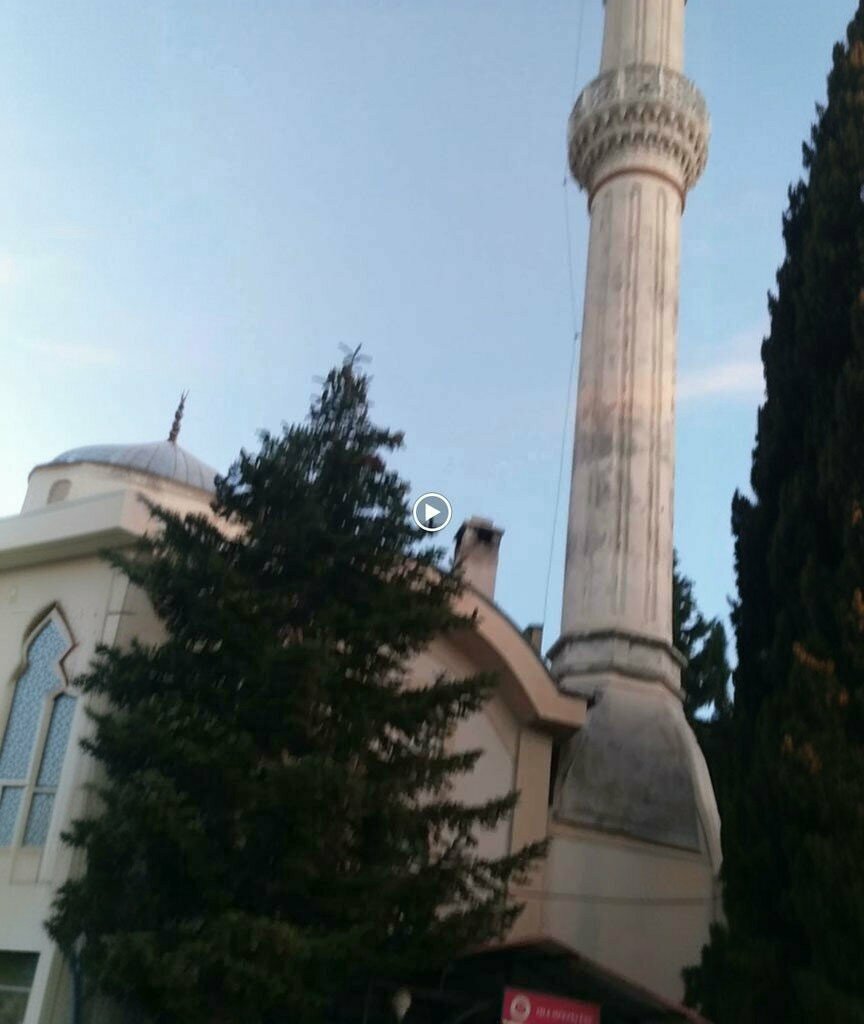 Cami Şeyhali Cami, Zile, foto
