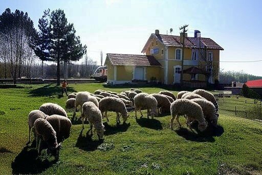 Otel Frig Evi Otel, Kütahya, foto