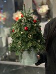 Flowers _deluxe (Avtozavodskaya Street No:23Бк2), çiçekçiler  Moskova'dan