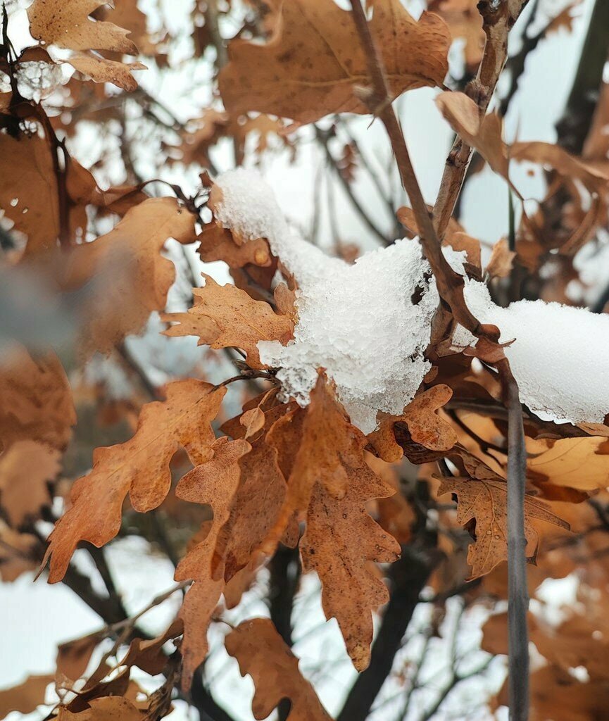 Restoran Uluçatı Kahvaltı Evi, Bursa, foto