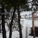 Albuzlar Düğün Salonu (Zonguldak, Çaycuma, Geriş Köyü, Kaymakcı Sok., 353B), düğün, toplantı salonu  Çaycuma'dan