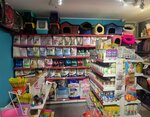 Larin Petshop (Kurtköy, doktor gürol başaran sokak no:12, 34912 Pendik/İstanbul), petshop  İstanbul'dan