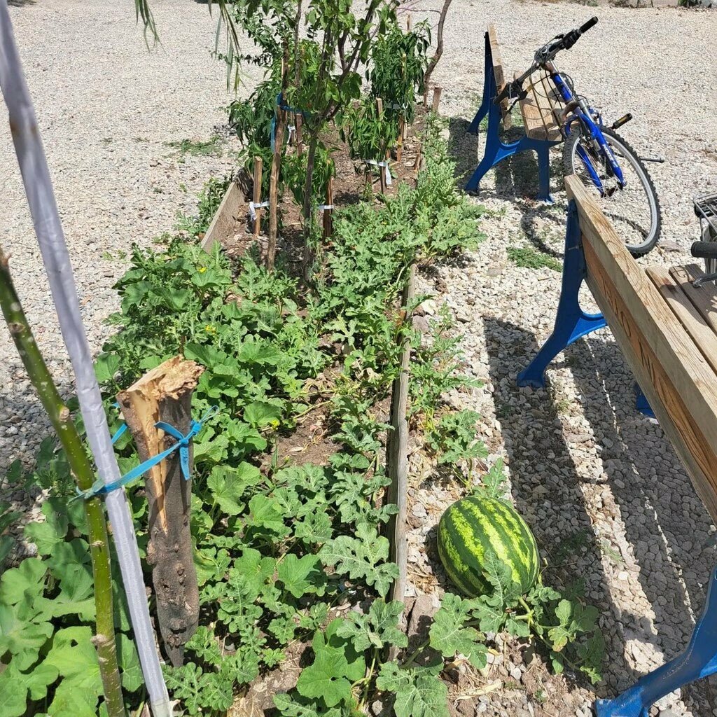 Karavan Antic Olea Beach &Caravan, Ayvacık, foto