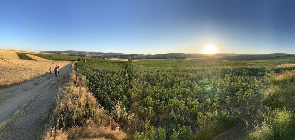 i̇lkokul Tanrıvermiş İlkokulu, Mecitözü, foto