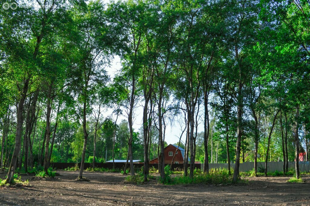 Yazlık yerleşim Кузяево парк 2, Moskova ve Moskovskaya oblastı, foto
