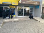 Emek Zekai Gümüşdiş Mahalle Muhtarlığı (Bursa, Osmangazi, Emek Zekai Gümüşdiş Mah., Mareşal Fevzi Çakmak Cad., 4), muhtarlıklar  Bursa'dan