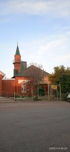Кульшариповская центральная мечеть (Republic of Tatarstan, Almetyevskiy rayon, Kulsharipovskoye selskoye poseleniye, selo Kulsharipovo, Sovetskaya ulitsa), cami  Tataristan'dan