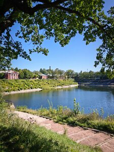 Дуб Макарова (St. Petersburg, Kronshtadt, Letniy Garden), doğa  Kronstadt'tan