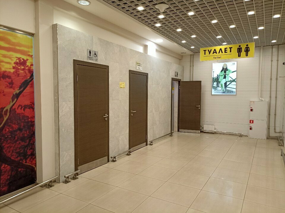 Tuvalet Toilet, Kolpino, foto