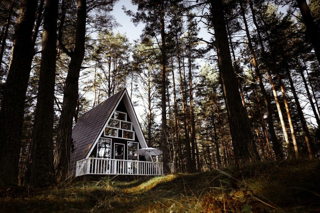 Resort oteller, tesisler Zolotoy Bereg, Saint‑Petersburg ve Leningradskaya oblastı, foto