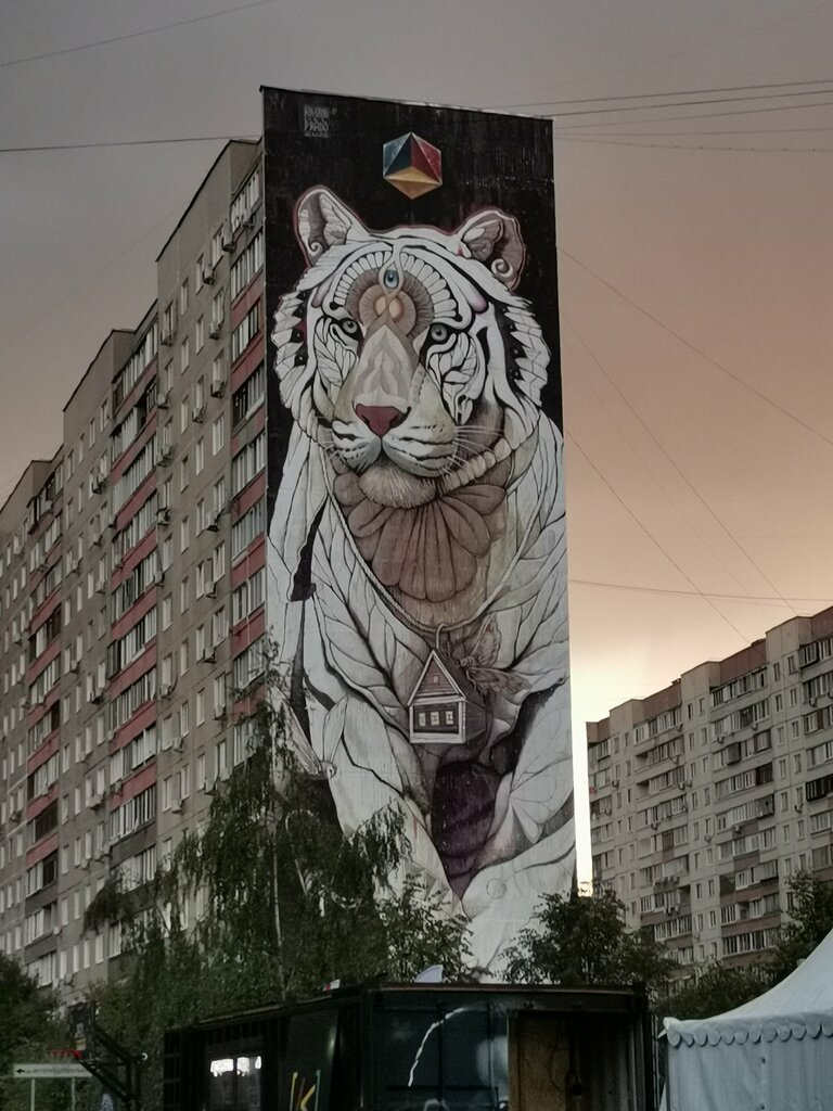 Sokak sanatı Мурал Белый тигр, Balaşiha, foto