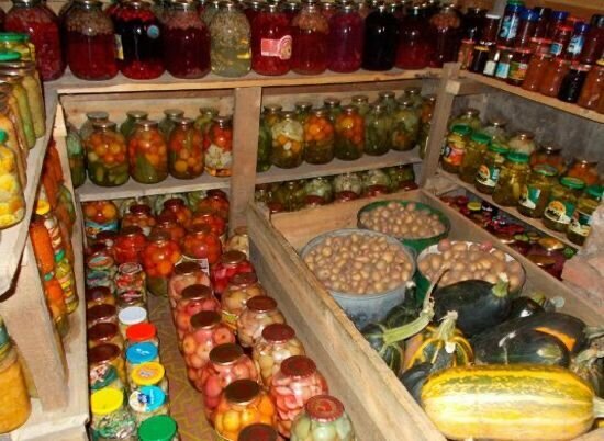 Endüstriyel altyapı Подвал для хранения овощей, Yaroslavskaya oblastı, foto