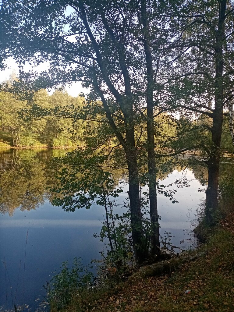 Kültür ve eğlence parkları лесопарк 409 км, Arzamas, foto