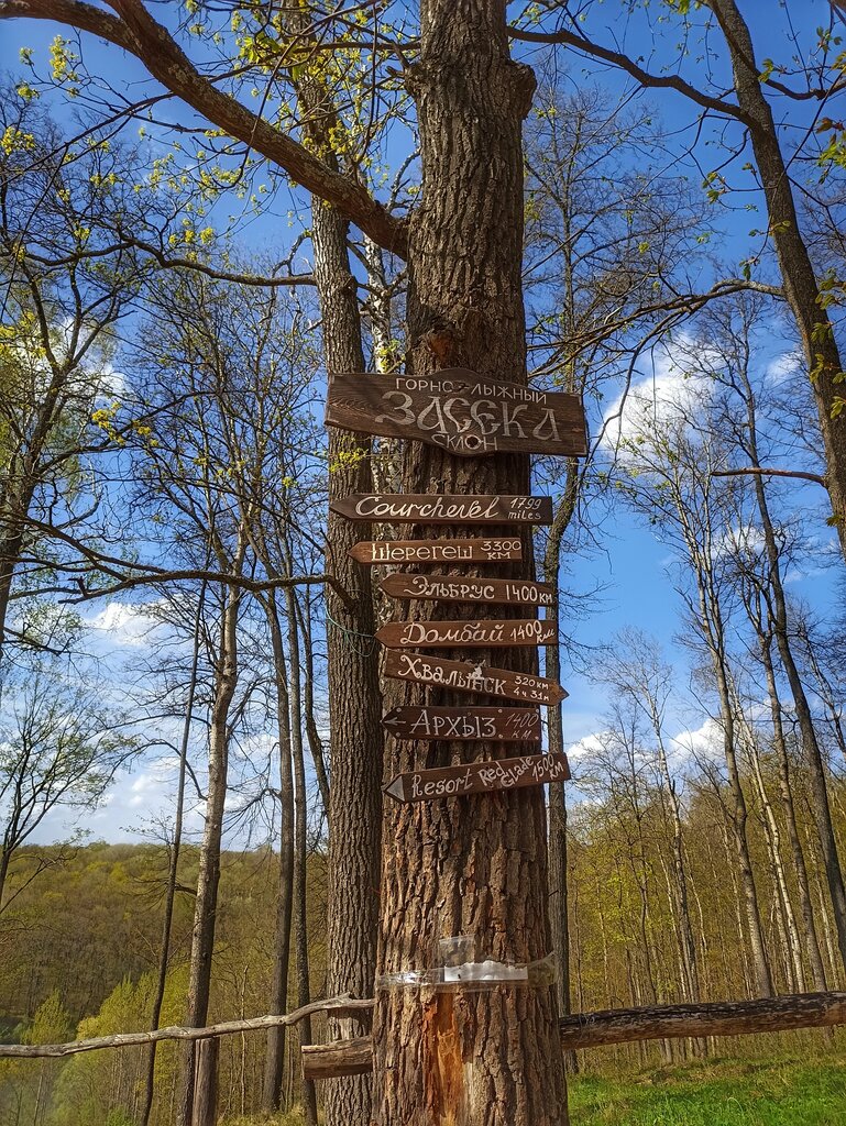 Piknik alanı Место для пикника, Penza, foto