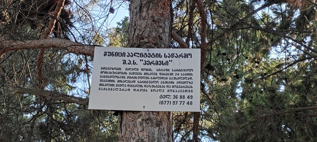 Mezarlıklar Navtlugi Municipal Cemetery, Tiflis, foto
