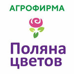 Agrofirma Polyana Zvetov (No:7, kvartal 24, derevnya Kosyakino), seracılık  Moskova ve Moskovskaya oblastından