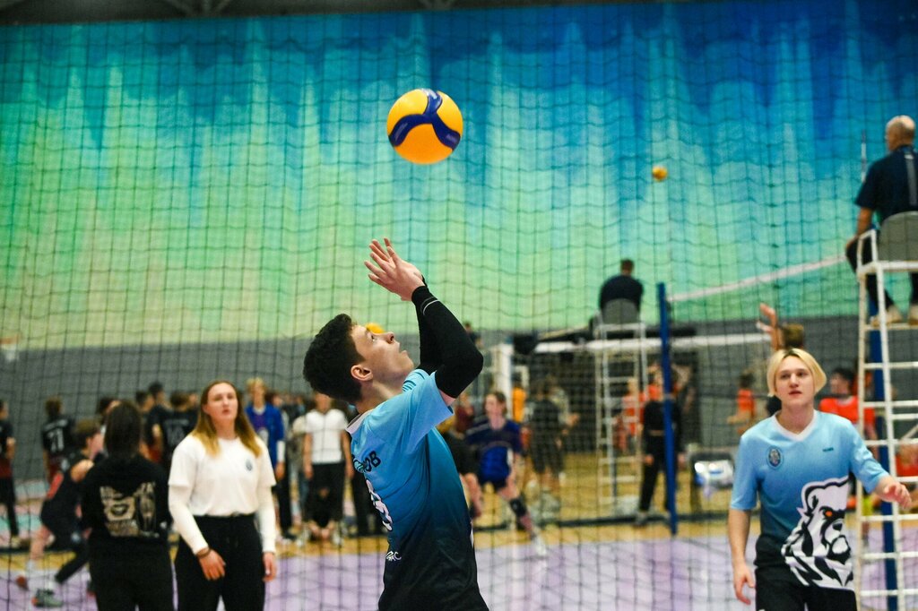 Sports school Невские медведи, Saint‑Petersburg, foto