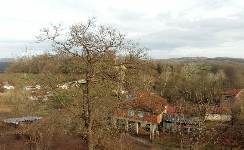 Muhtarlıklar Çeltik Köyü Muhtarlığı, Biga, foto