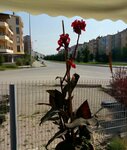 ULUKAN PANSİYON (Samsun, Aydınlık Cad., 28), otel  Samsun'dan