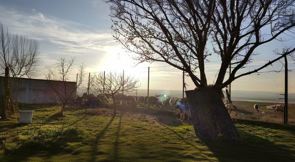 Kafe Gölbaba Et Lokantası, Edirne, foto