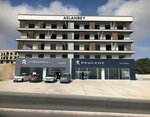  Aslanbey Peugeot (Sarımazı Mah. İskenderun Antakya yolu 6 km. Fatih Mah. Sokullu Mehmet Paşa Cad., Belen, Hatay), otomobil satış galerileri  Belen'den