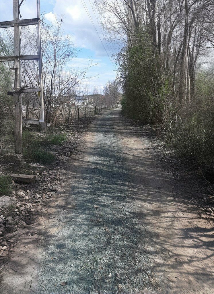 Muhtarlıklar Talipler Köy Muhtarlığı, Kastamonu, foto