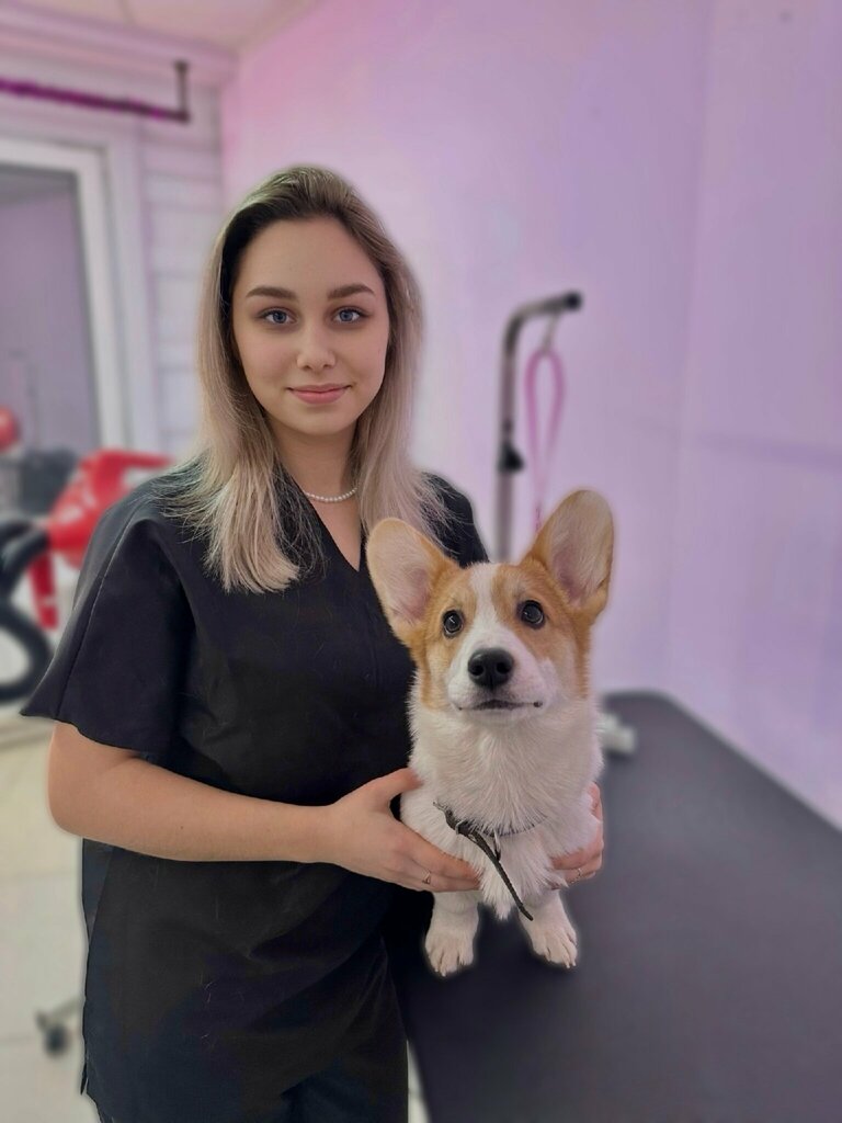 Evcil hayvan kuaförleri Mr&Ms Shaggy, Tutayev, foto