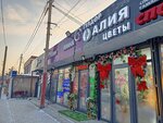 Flower Liana (Kurmanjan Datka Street No:296), çiçekçiler  Bişkek'ten