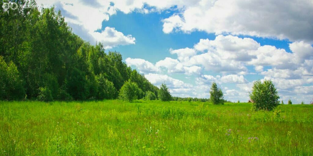 Yazlık yerleşim Квартал 39-5, Moskova ve Moskovskaya oblastı, foto