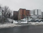 Aleksandar F1 (Luke Vojvodica No:2A), otomobil pazarları  Belgrad'dan