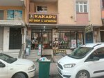 Kakadu Petshop (İstanbul, Esenyurt, Necip Fazıl Kısakürek Mah., Ali Rıza Bey Cad., 26), petshop  İstanbul'dan