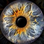 Macrolook (Vaynera Street No:10), profesyonel fotoğraf stüdyosu  Yekaterinburg'dan