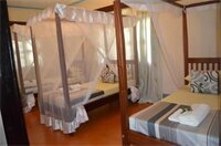 Otel African Roots Guesthouse, Dünya, foto