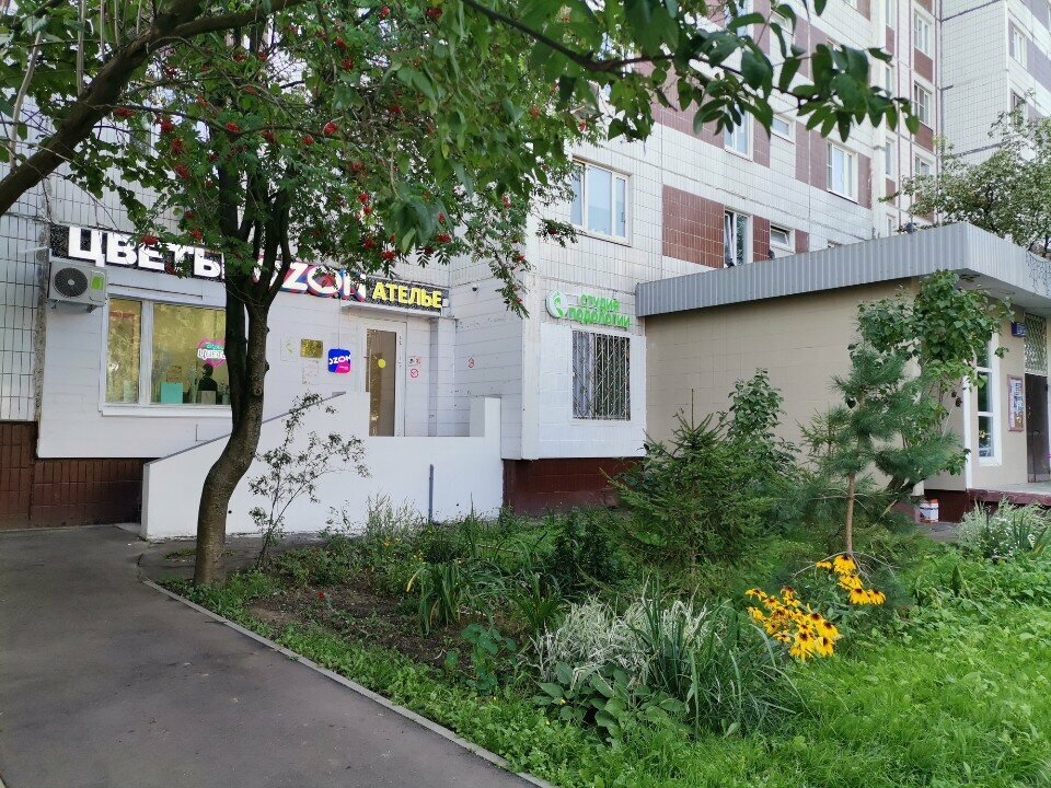Podoloji Студия подологии и здоровой эстетики Вера, Moskova, foto