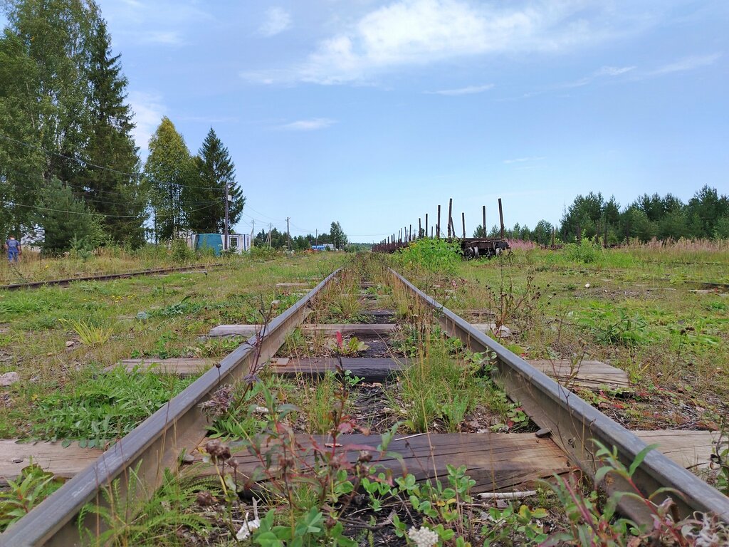 Yük istasyonu остановочный пункт Депо, Vologodskaya oblastı, foto
