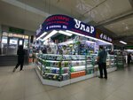 Umar (Semyon Budyonny street No:152/5), cep telefonu ve aksesuarları satış mağazaları  Bişkek'ten
