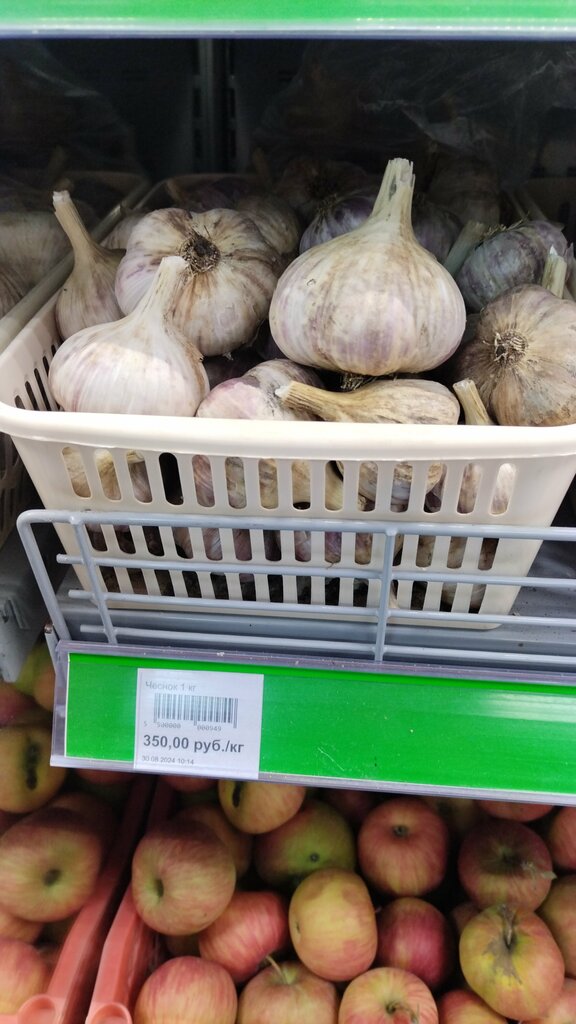 Market Фасоль, Orenburgskaya oblastı, foto