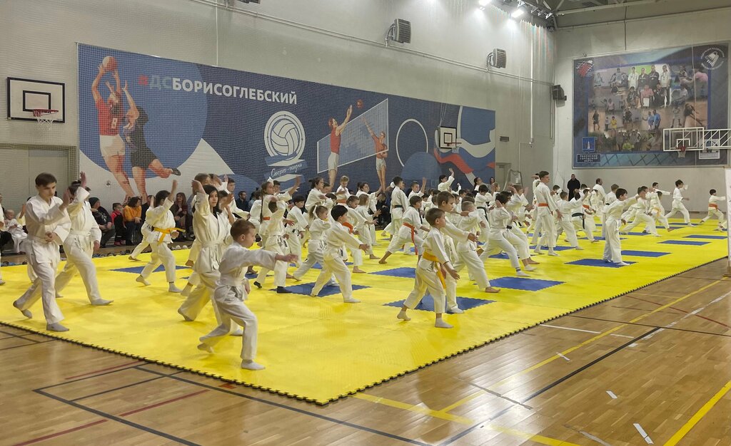 Spor kulüpleri TenYuKai, Ramenskoye, foto