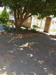 Botswana (Lusaka, Civic Centre), devlet kurumları ve bakanlıklar  Lusaka'dan