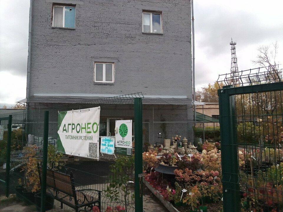 Fidan yetiştiriciliği Agroneo, Angarsk, foto
