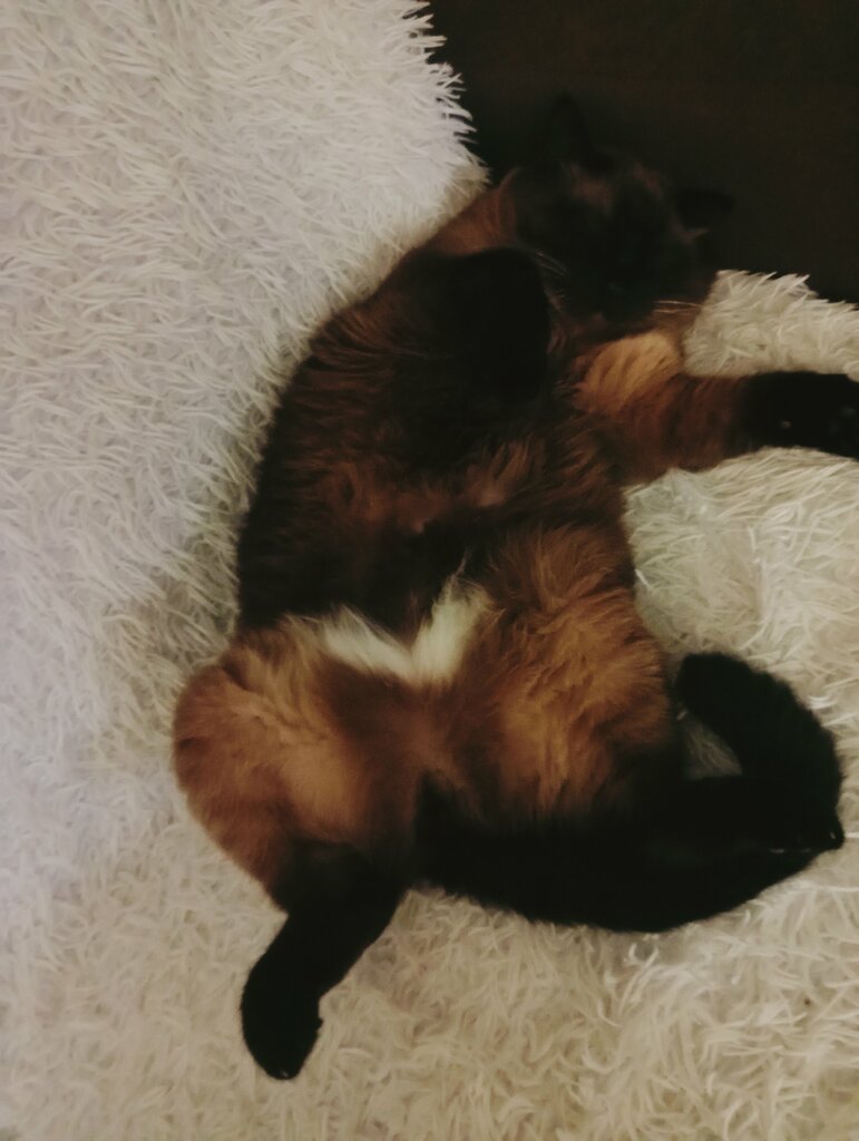 Teslimat noktası Wildberries, Solikamsk, foto