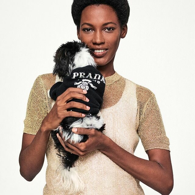 Giyim mağazası Prada, Serik, foto